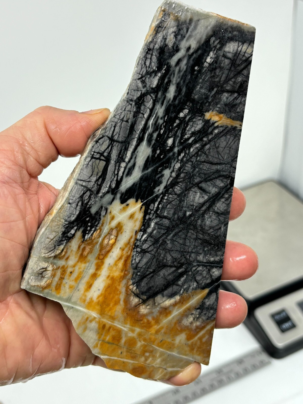 Picasso Marble (Jasper) Slab Cabbing Lapidary Utah Combo Ship Avail | eBay