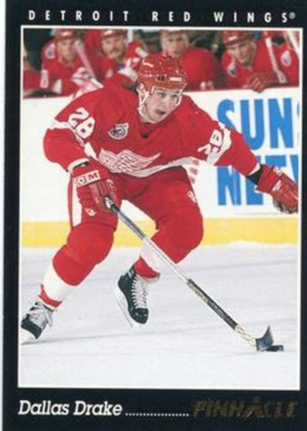 #28 Dallas Drake - Detroit Red Wings - 1993-94 Pinnacle Hockey | eBay