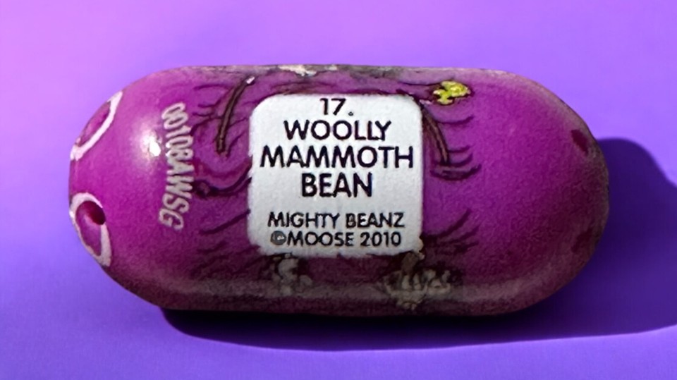 Mighty Beanz Series 1 Woolly Mammoth Bean 17 | eBay
