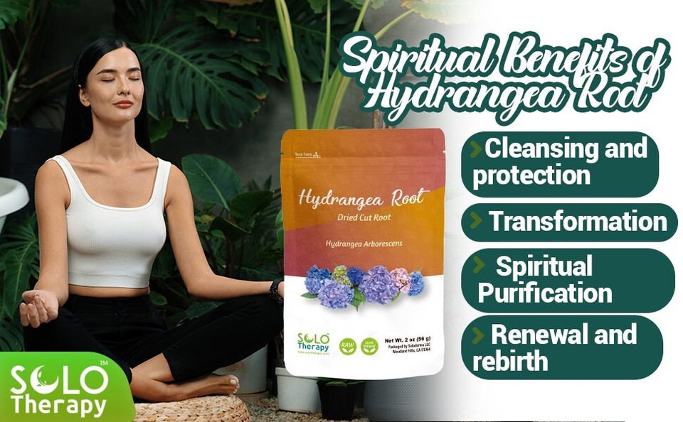 Hydrangea Root Herbal Tea - 56 Grams - Hydrangea Root Tea Resealable ...