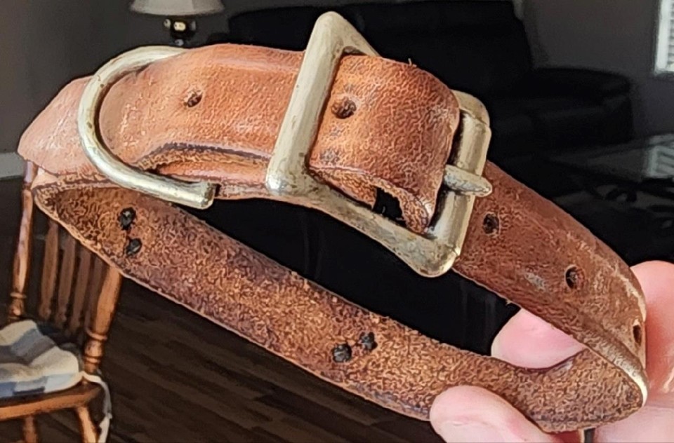 VINTAGE LEATHER DOG COLLAR BRASS TAG HAROLD BLODGETTE CEDAR SWAMP RD ...