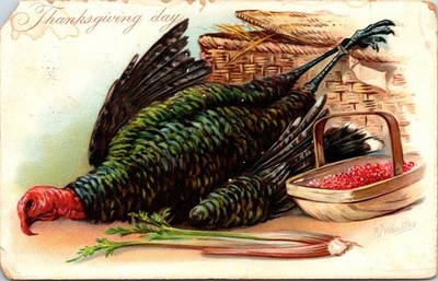 Raphael Tuck Thanksgiving Turkey Embossed Antique Postcard & Stamp | eBay