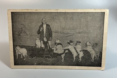 Advertising Postcard "WATSON's Fox Terriers" Jonny Watson (performing ...