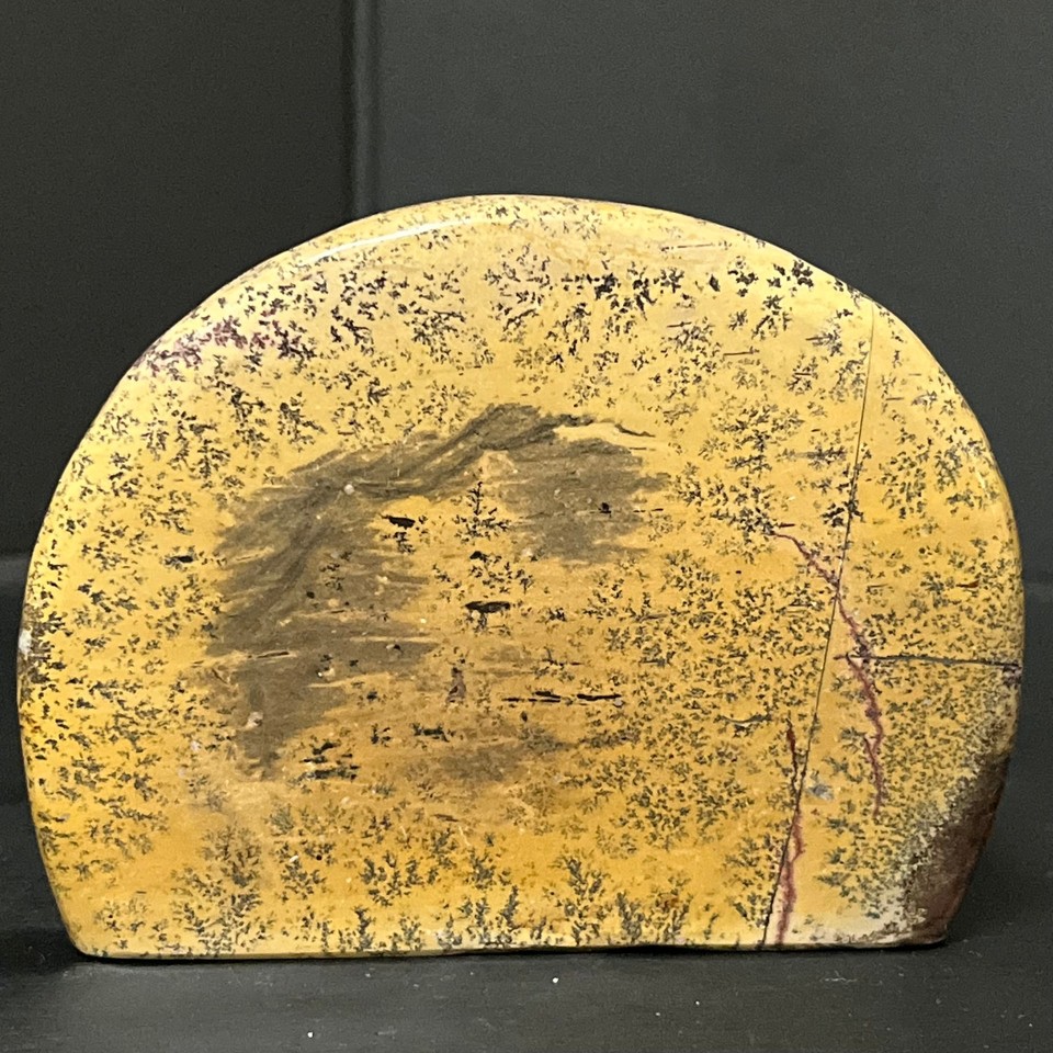 186G Beautiful Natural Chinese Dendritic Limestone Picture Stone Guohua ...