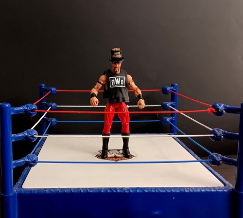 BUFF BAGWELL WWE CUSTOM FIGURE MATTEL ELITE classic legend wcw | eBay