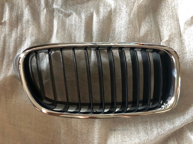 BMW 51137255411 Genuine OEM Grille Left Driver Side for sale online | eBay