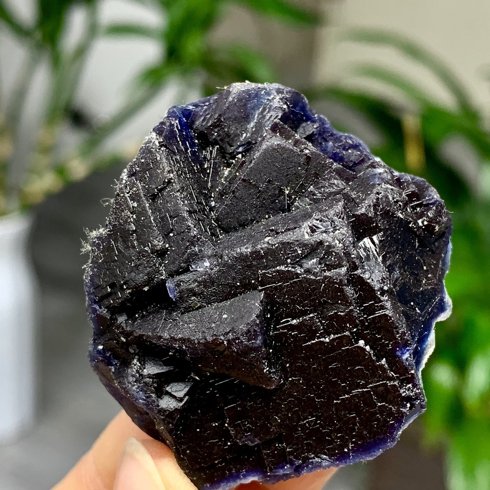 59G Natural black rose fluorescent cube fluorite specimen glow under UV ...