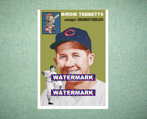 Birdie Tebbetts Cincinnati Redlegs 1954 Style Custom Baseball Art Card ...