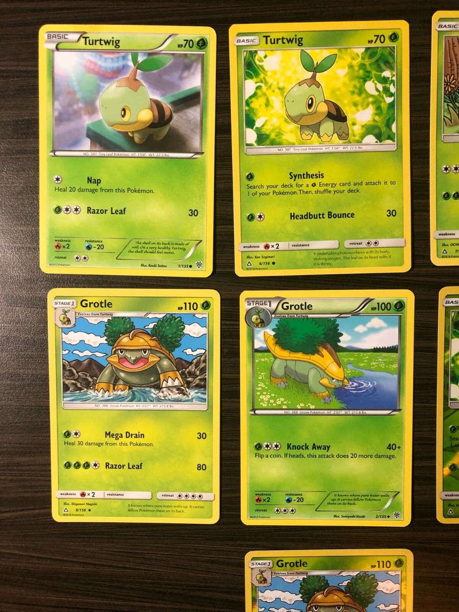 Turtwig Pokemon Evolution