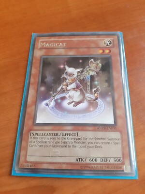 Magicat ANPR en031 Rare anglaise (ANPR fr031) | eBay