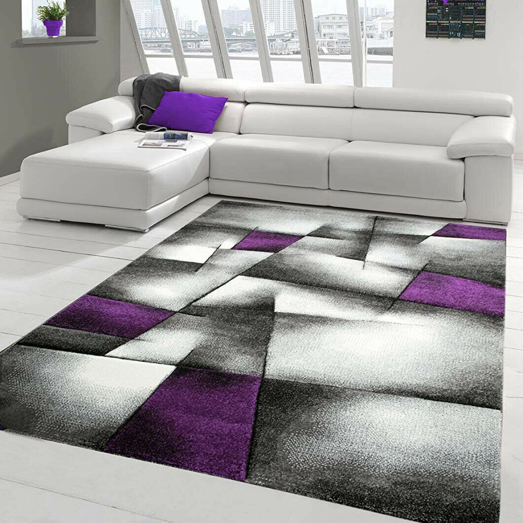 Purple Area Rug For Living Room | Baci Living Room