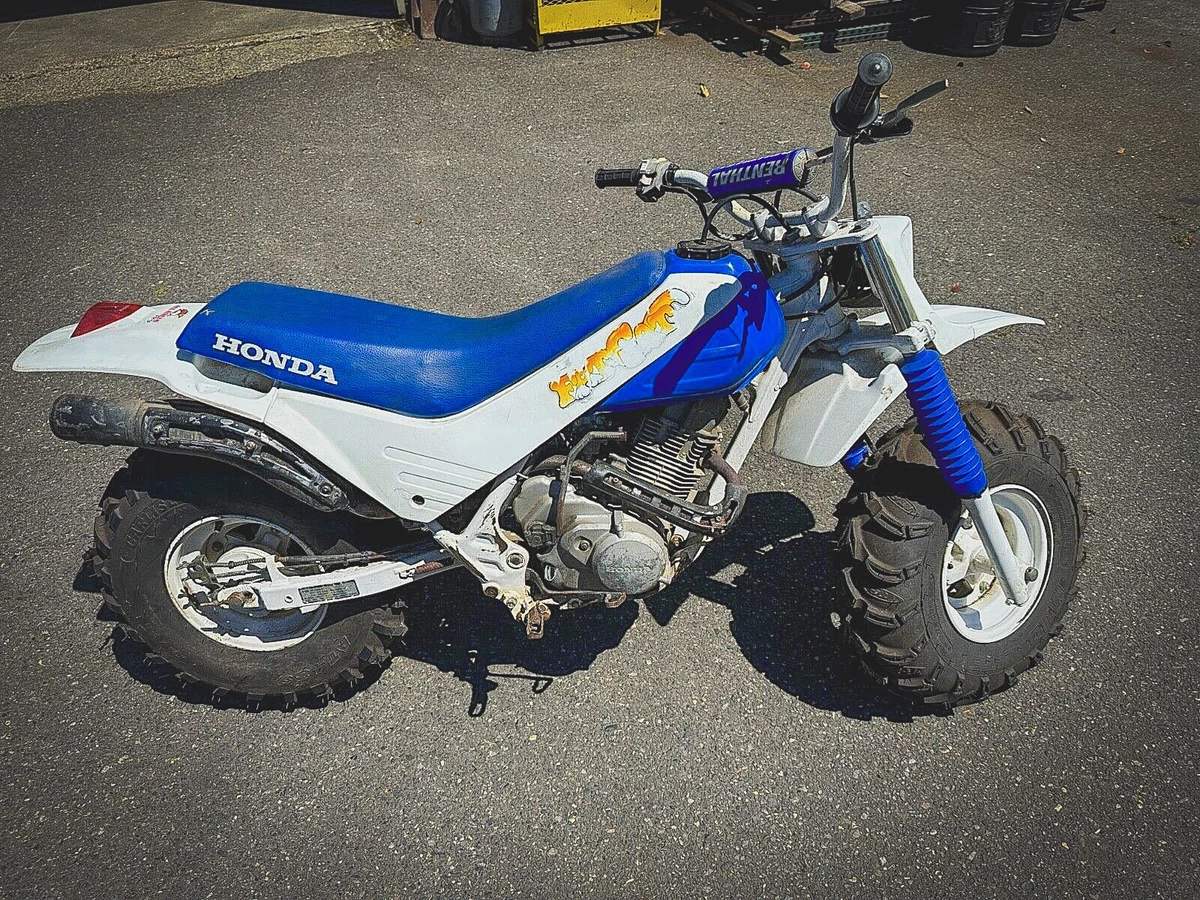 Big-Tire Honda Fat Cat Is a Rare, User-Friendly Ride