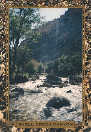 Shell Creek Canyon,Wyoming Teich Russ Oliver Original Vintage Postcard ...