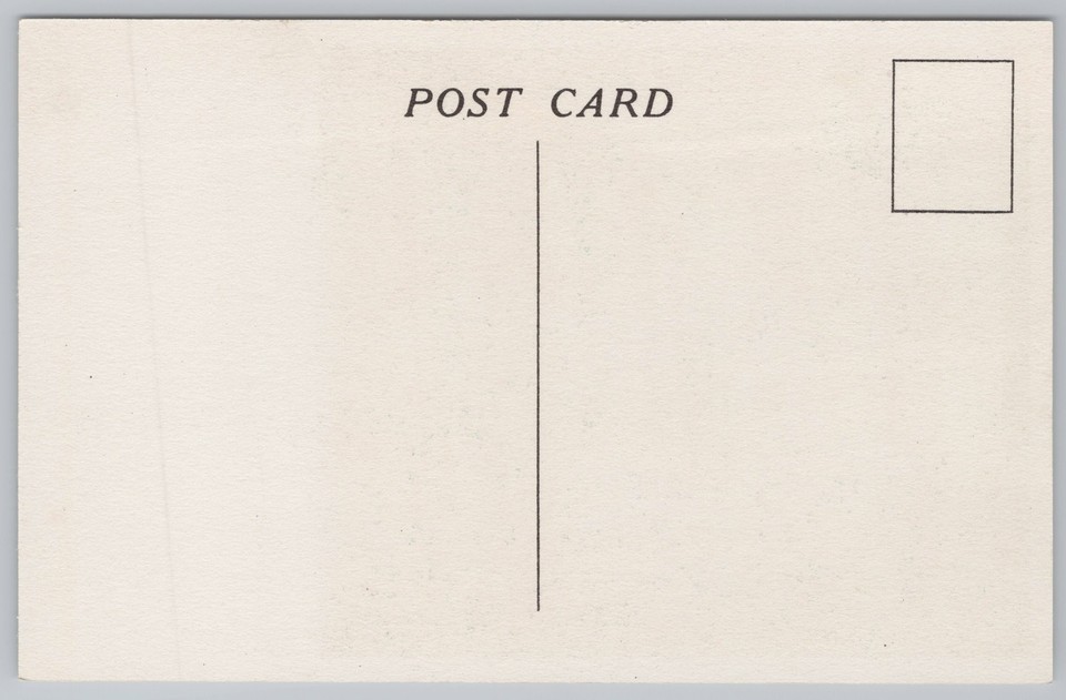 President & Patriotic~Library In FDR Home Painting~Vintage Postcard | eBay