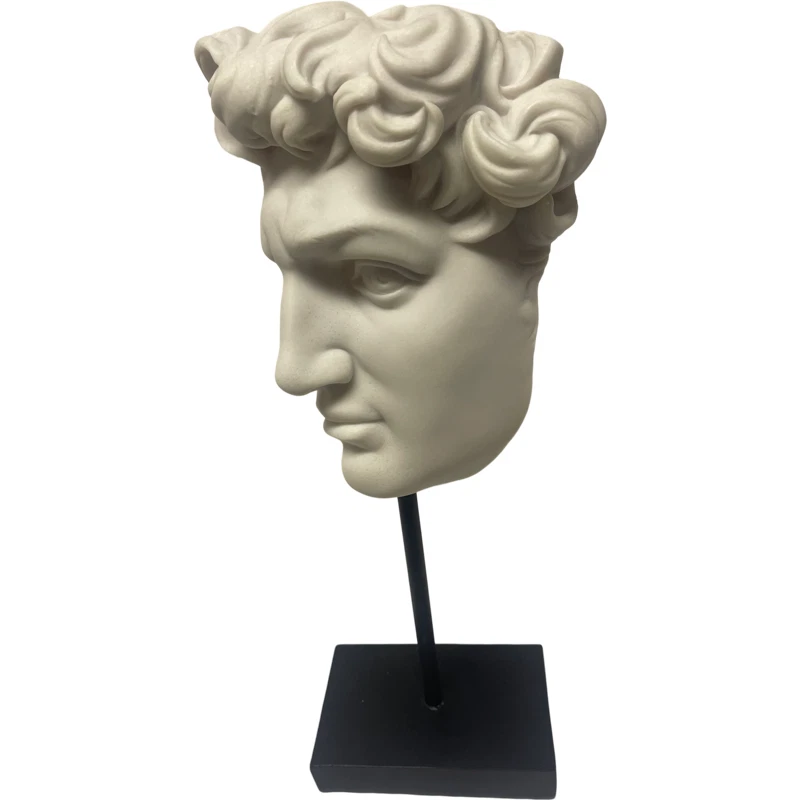 David Michelangelo Face