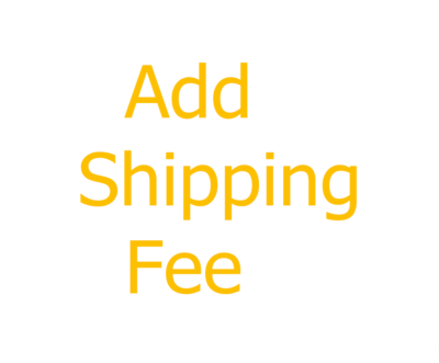The link for Shipping Cost | eBay