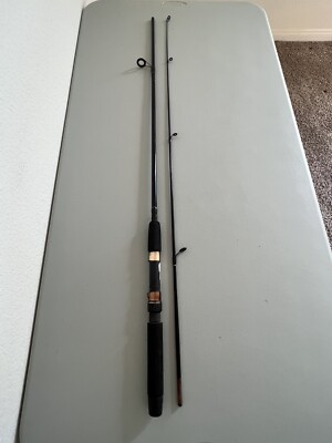 Custom-Made CA -652 6' 6”2-Piece Fishing Rod. | eBay