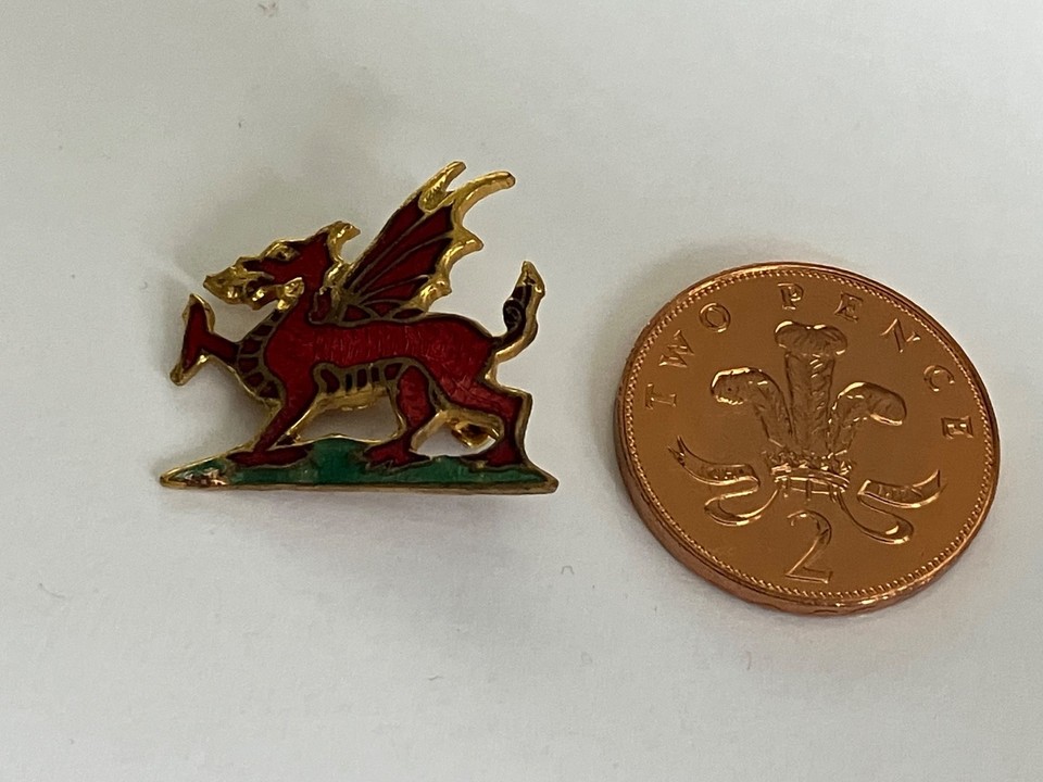 Vintage Welsh Dragon Enamel Pin Badge | eBay UK