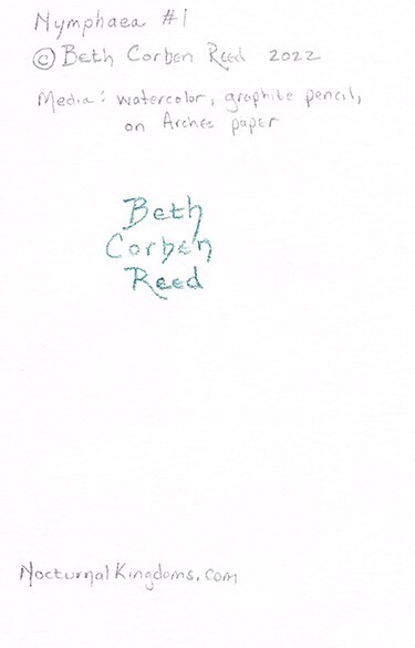 Nymphaea #1 Water Nymph Original Watercolor Painting Beth Corben Reed ...