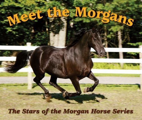 Meet the Morgans: The Stars of the Morgan Horse by Ellen F. Feld ...