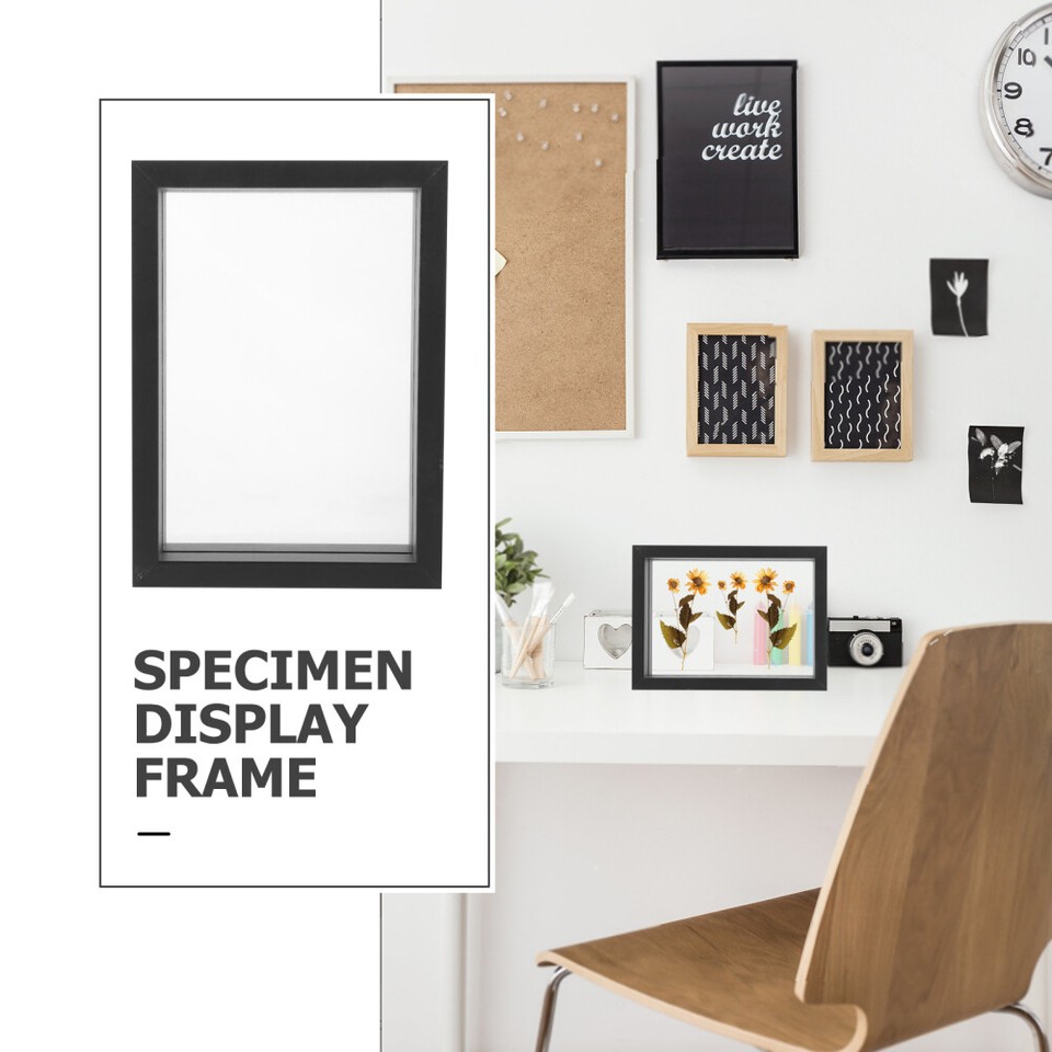 Glass Display Frame Wooden Frame Specimen Double-sided Glass Frame ...