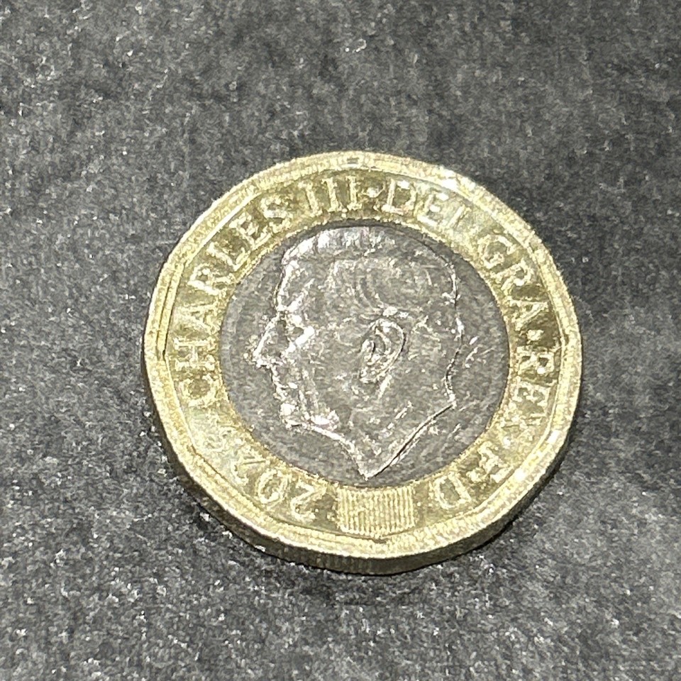 2025 KING CHARLES BEES 1 ONE POUND COIN | eBay UK
