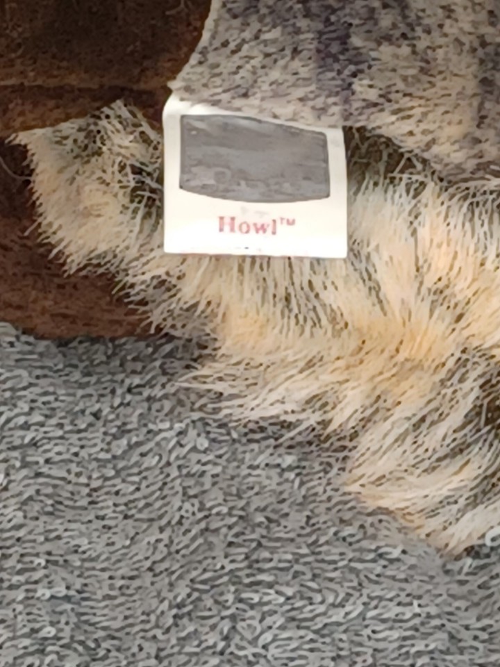 TY HOWL the WOLF BEANIE BABY | eBay