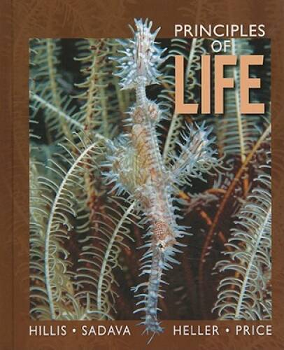 Principles of Life - Hardcover By Hillis, David M. - GOOD 9781429257213 ...