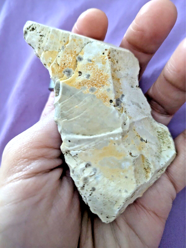 Native American Indian Artifact Scrapper, Multitool, *FREE SHIPPING* | eBay
