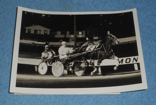 1970s Harness Racing Press Photo Horse "Clan Raider" Steve Demas ...