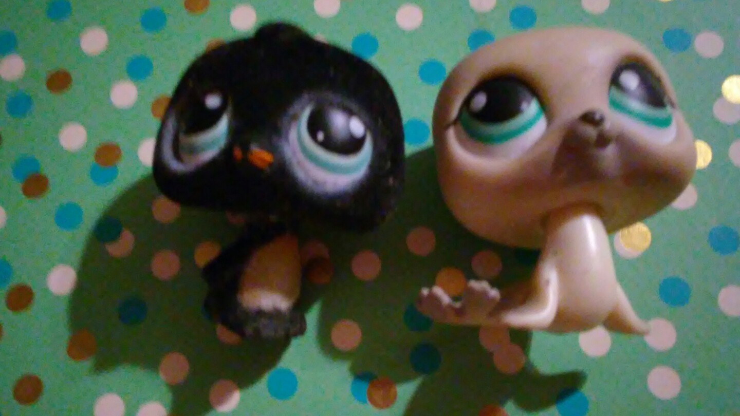 Littlest Pet Shop Seal& Penguin Cute | eBay