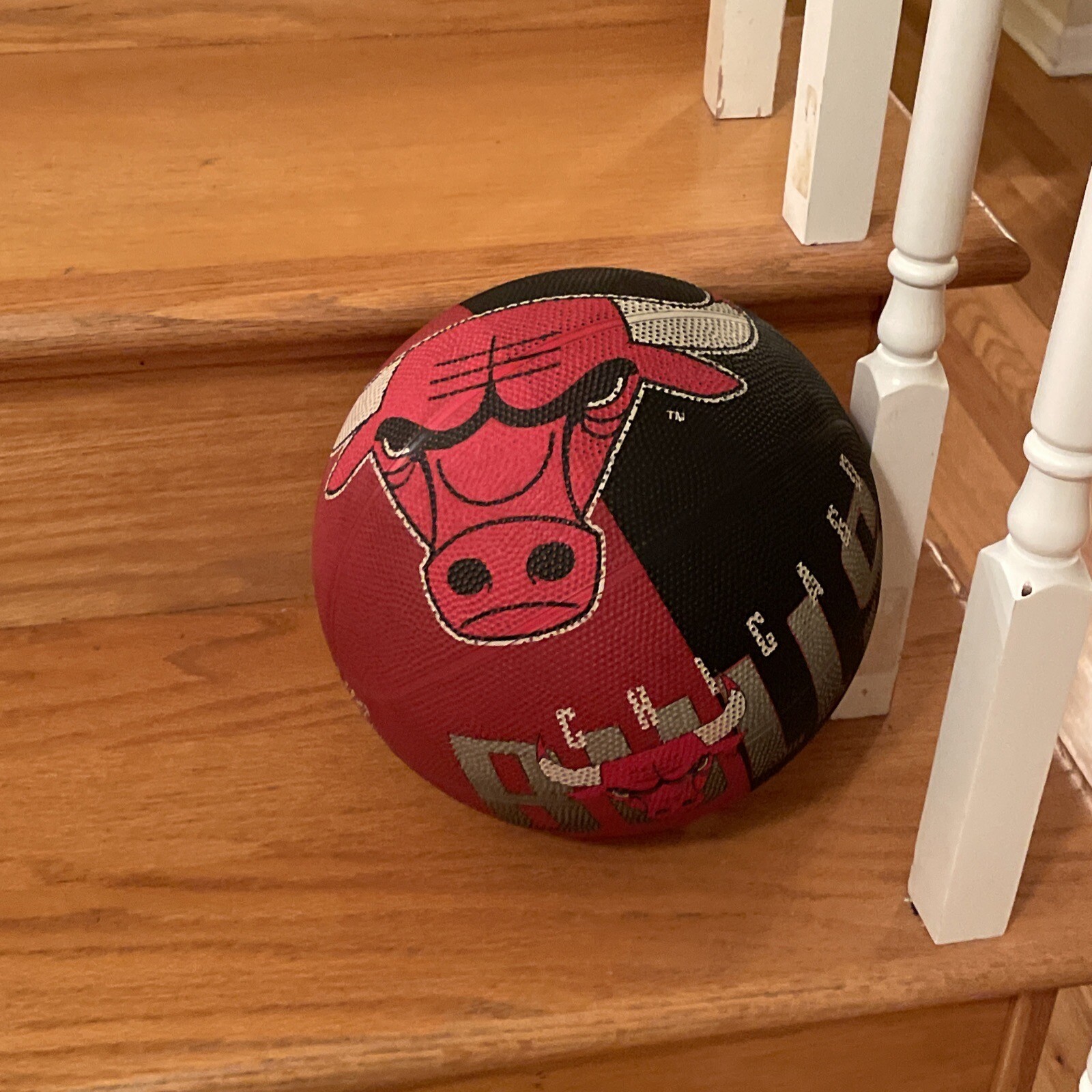 Spalding NBA Chicago Bulls Courtside Outdoor Rubber Basketball 90s ...
