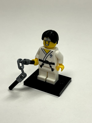 Lego Martial Arts Boy Collectible Minifigure Series 20 col367 | eBay