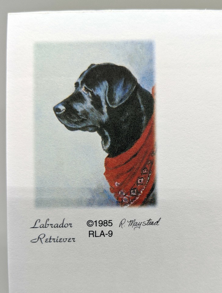 Black Labrador Retriever Red Scarf Note Pad Set 5 Note Pads Ruth ...