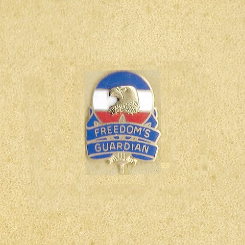 Forces Command (FORSCOM) Unit Crest (Freedom's Guardian) Pin | eBay