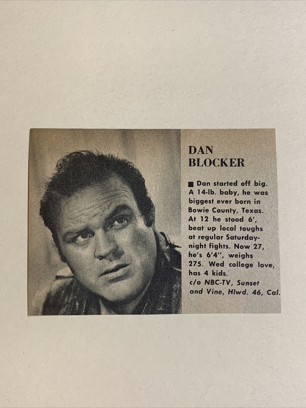 Dan Blocker Kids