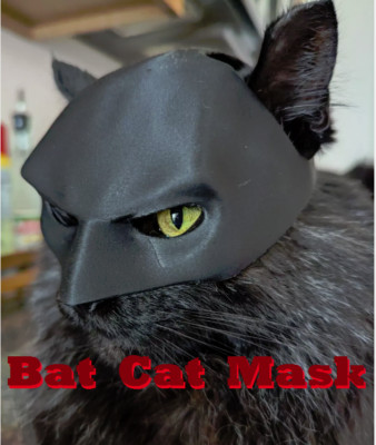 BAT CAT Avengers Batman Cat Mask Pet Cosplay Costume, Tik Tok | eBay