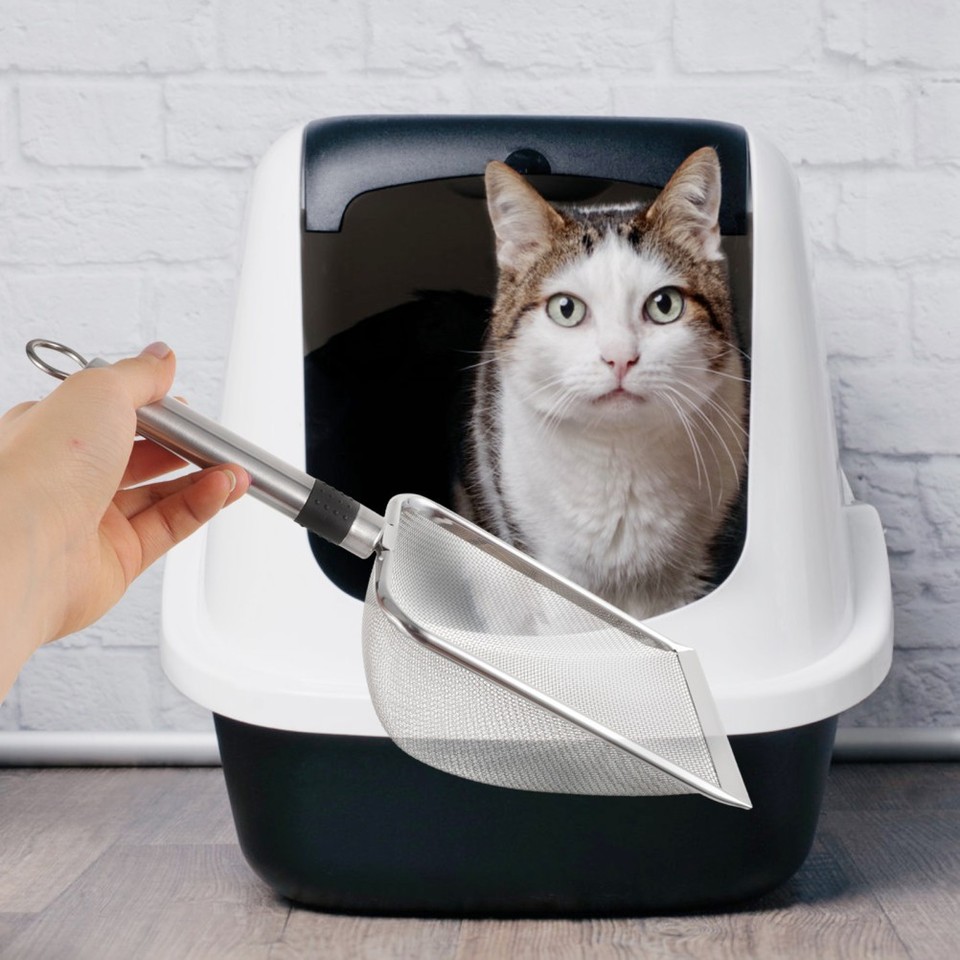 Cat Basin Sand Shovel Tortoise Lizard Litter Stainless Steel Cleaning ...