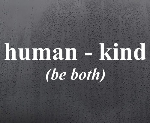 Human Kind Be Both vinyl sticker car van decal window jdm dub graphics ...