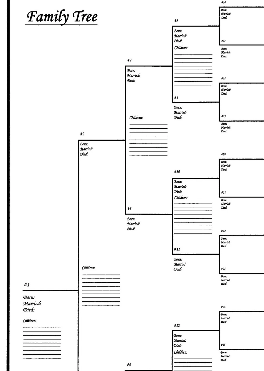 Extended Family Tree Diagram