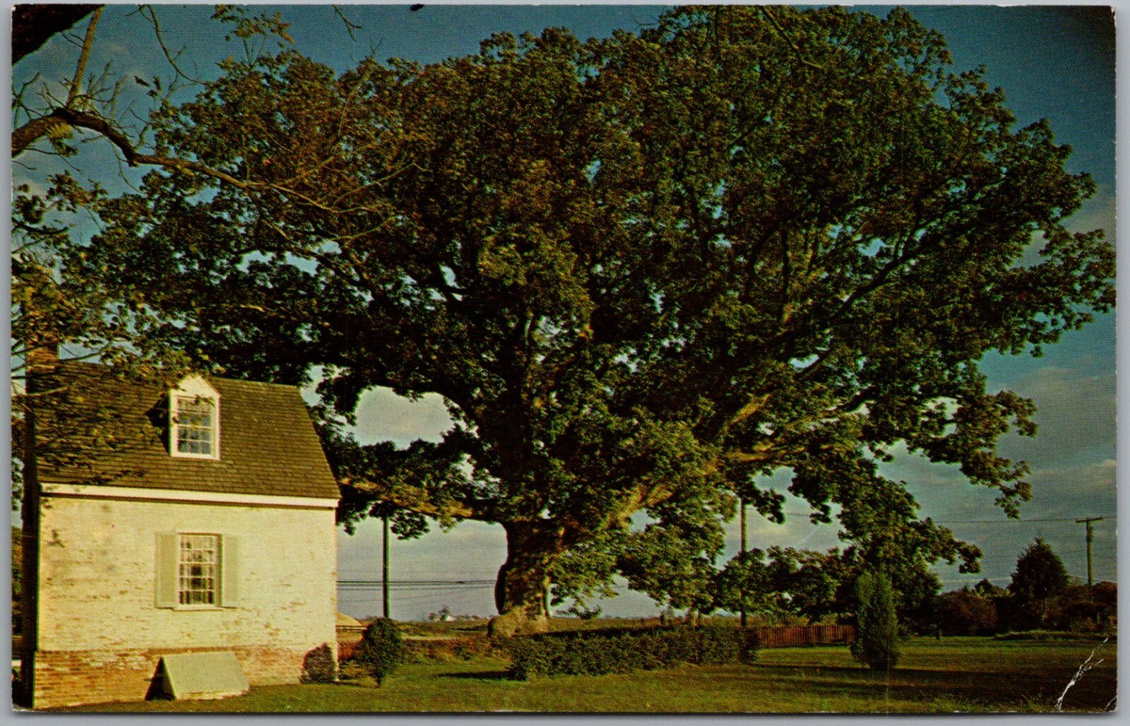 Wye Oak & Schoolhouse Near Wye Mills Talbot County Maryland Postcard ...