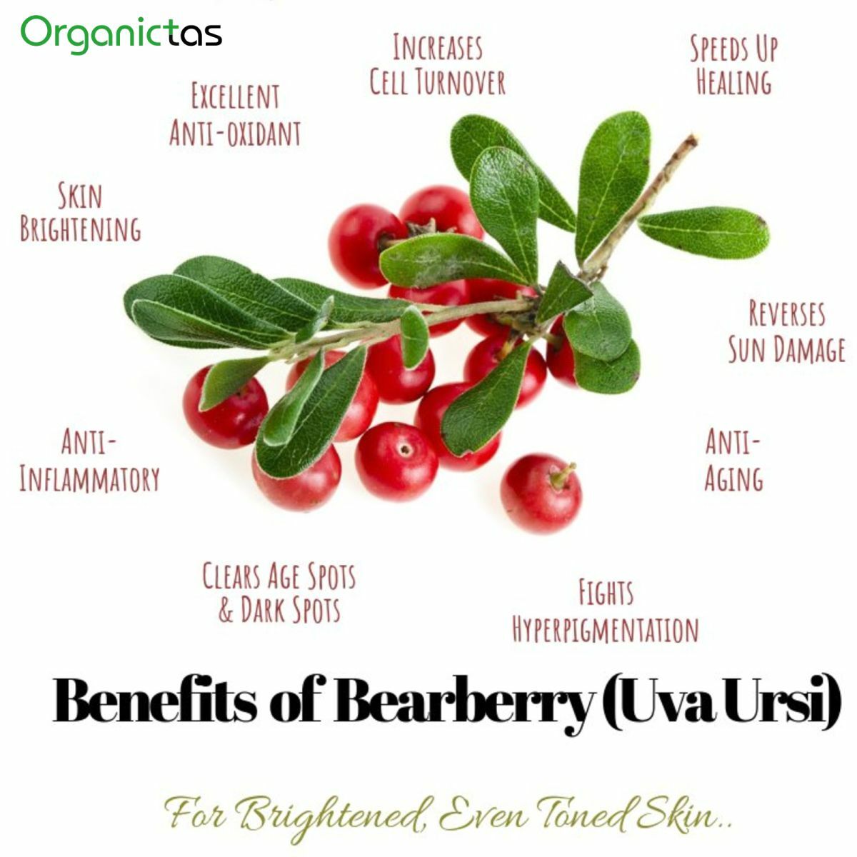 Bearberry Extract