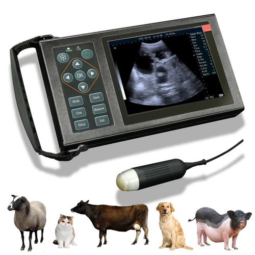 Portable Veterinary Ultrasound Machine Handheld Scanner For pigs, sheep ...