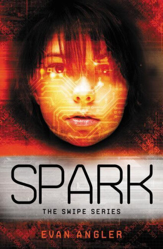 Spark (Swipe Series) by Angler, Evan [Paperback] 9781400321988 | eBay ...