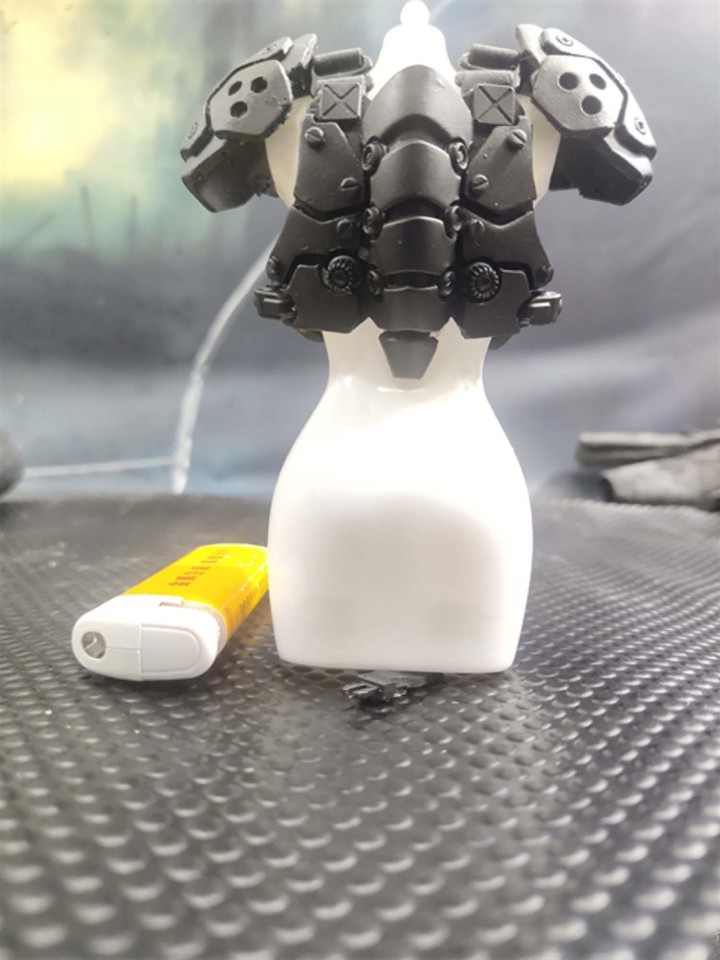 1/6 Female Plastic Armor Chestplate Model DIY 12'' Action Figure | eBay