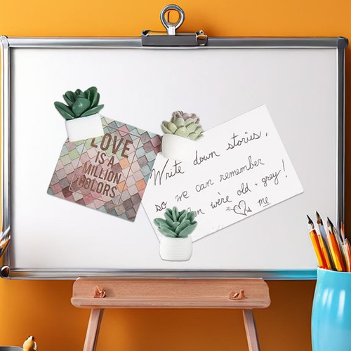 12 Pcs Succulent Magnets for Locker, Fridge Magnets Cute, Office Desk ...
