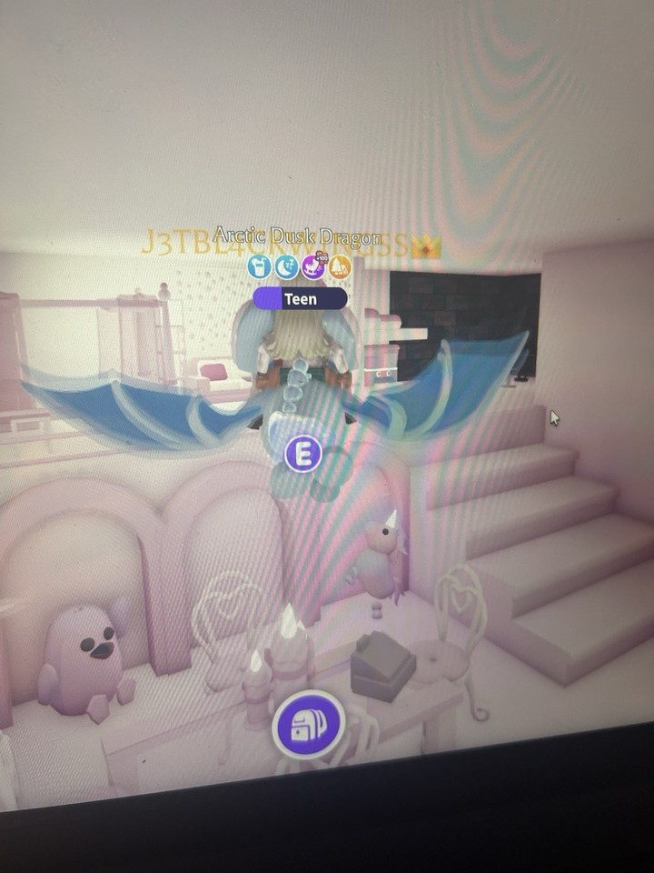 Adopt Me Roblox Legendary Arctic Dusk Dragon Fly Ride Cute With Fast ...