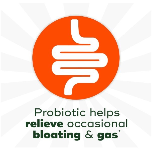 Align Probiotic 24/7 Digestive Support, Pro Formula Daily Probiotic 42 ...