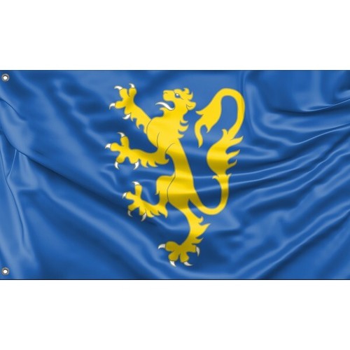 Flag of Galicia-Volhynia | Unique Design, 3x5 Ft / 90x150 cm, EU Made ...