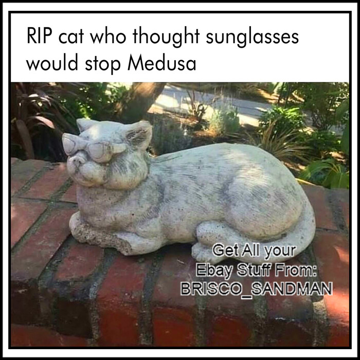 Stopp Katzen Meme 10 50 Cat Meme Stickers Kitty Faces Cute Cats Etsy